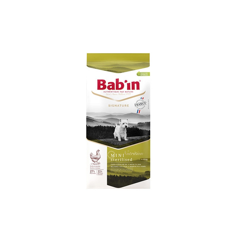 BAB'IN