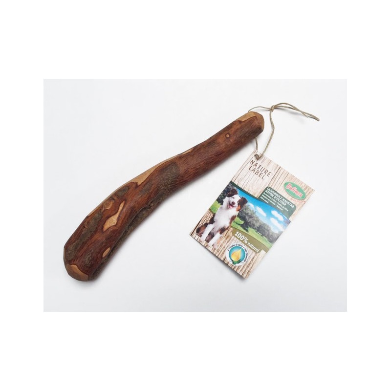Bâton d'Olivier - Jouet pour Chien